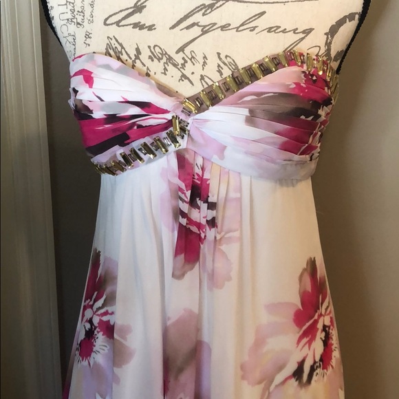 Cache | Dresses | Cach Gown | Poshmark
